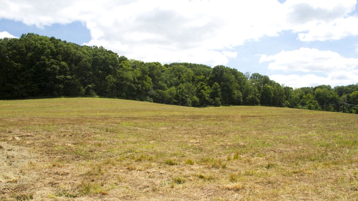 Peters Township Council approves both phases of new residential ...